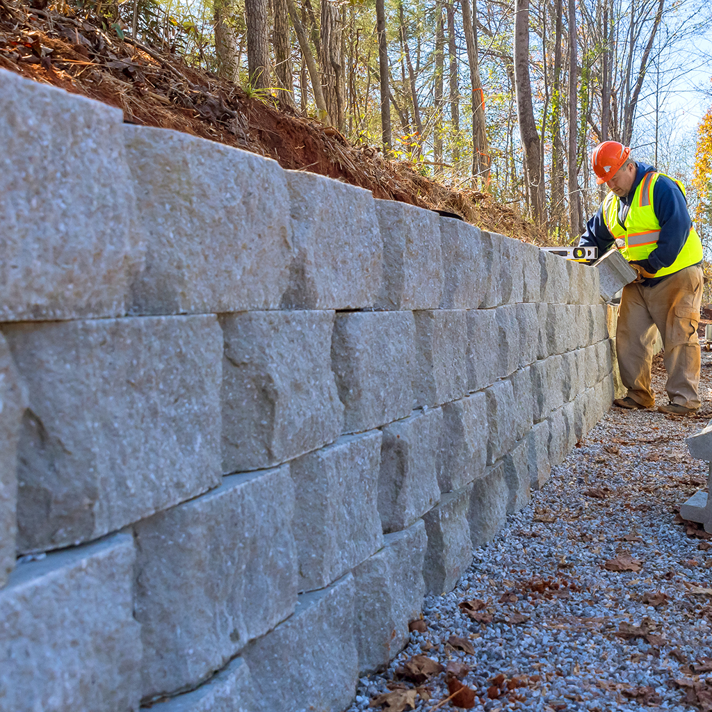 Tree Planting & Removal Chattanooga Holder Outdoor #1